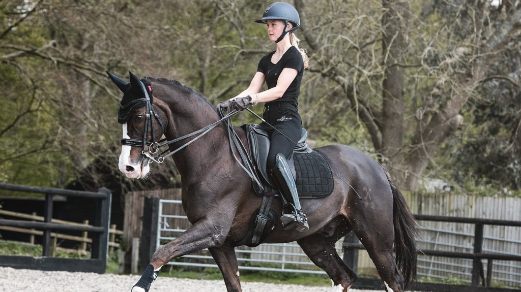 Jennings Farm Livery Yard – Welcome to Jennings Farm, a livery yard ...