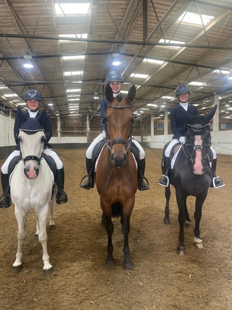 What we offer – Jennings Farm Livery Yard