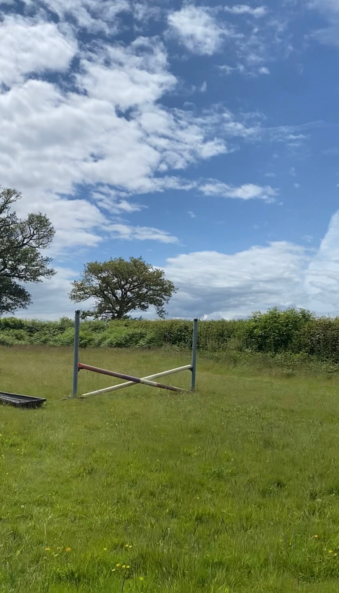 What we offer – Jennings Farm Livery Yard