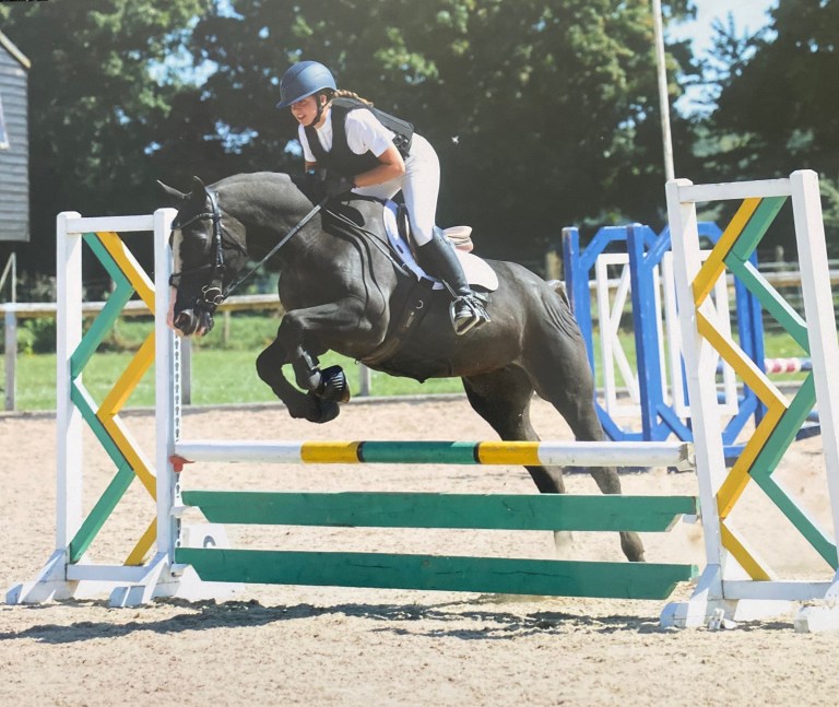 What we offer – Jennings Farm Livery Yard